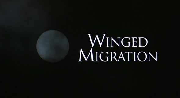 Winged Migration: Thousands Of Screencaps, Iconic Scenes and More ...
