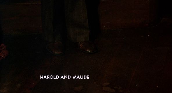 Harold and Maude - 1971: Thousands Screencaps, Iconic Scenes and More ...