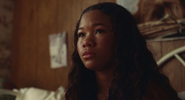 Stand Still Like the Hummingbird - 2022: Search for Images, Screencaps ...